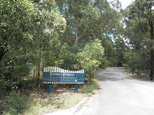 Toohey Forest Park | Heritage Places