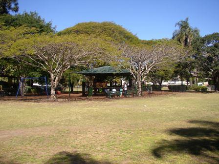 Oriel Park (includes Bus Shelter Oriel Park bus stop on footpath ...